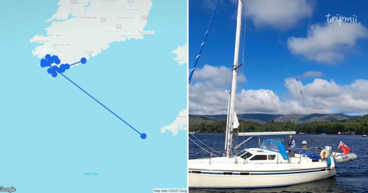 Two Bullocks on a Boat Go West – Castletownbere – Ireland