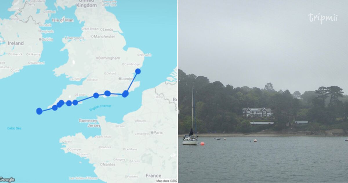 Two Scilly Bullocks on a Boat – Helston – Helford River Sailing Club ...