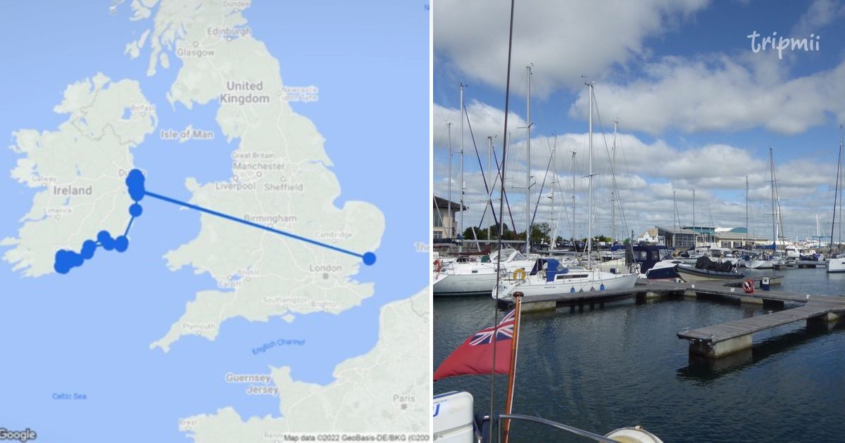 Two Bullocks on a Boat in Eire – Killiney – Vico Road – Ireland